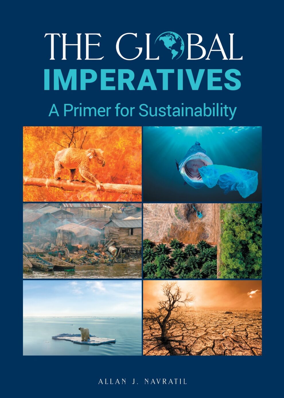 The Global Imperatives: A Primer for Sustainability | Orpen Press